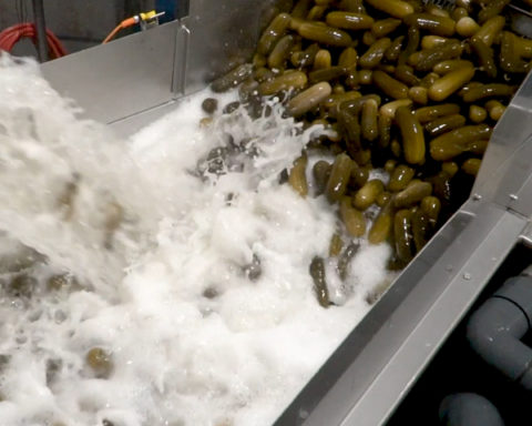 How a Pickle Becomes a Pickle Slice - Hausbeck